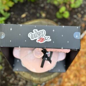 Rae Dunn | Kitchen | Rae Dunn X The Wizard Of Oz Pink Wicked Good Witch ...